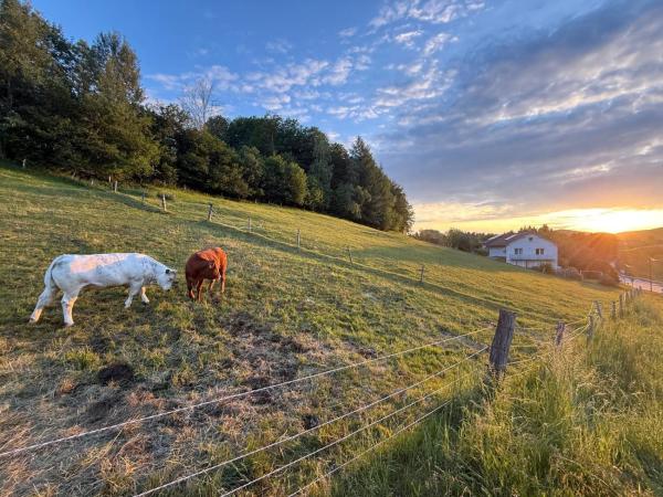 Beim Haidl - Urlaub Am Bauernhof - Hauzenberg