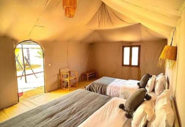 Merzouga Best Camp - Merzouga