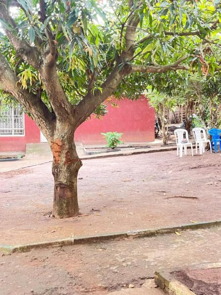 Mt Rwenzori Heritage Guest House - Ouganda