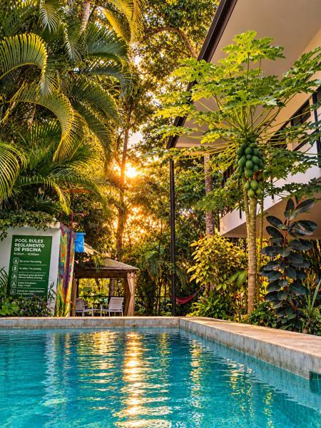 Casajungla Hostel - Costa Rica