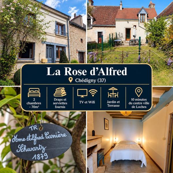 La Rose D'alfred - Touraine