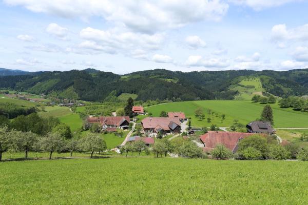 Hofgut Schwarzwaldliebe - Forêt-Noire