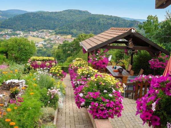 Maison Charmante Avec Jardin à Haselbourg - Vue Sur Montagnes - Moselle
