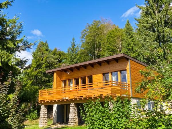 Chalet Chaleureux Les Rousses - 98 M² - Cheminée - Divonne-les-Bains