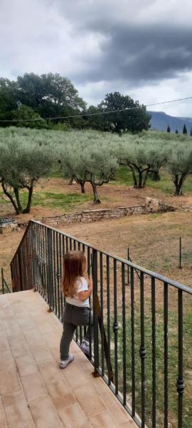 San Damiano Apartment - Assisi