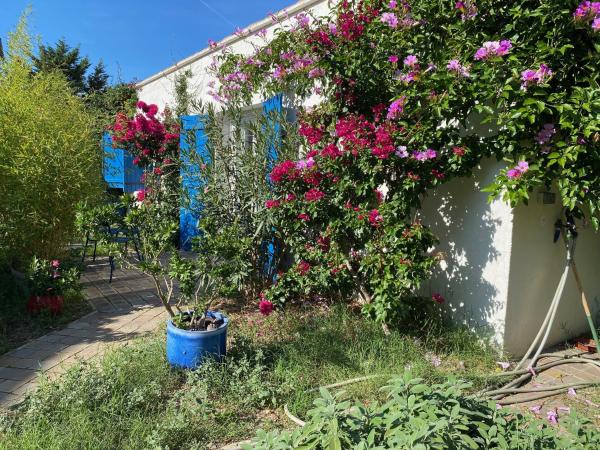 Maisonnette De Jardin - Marseille