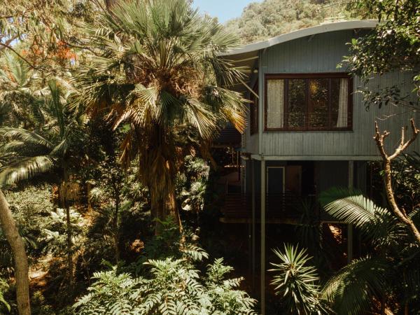 Reinwood Retreat - A Home Nestled In The Treetops Of A Rainforest - Cairns