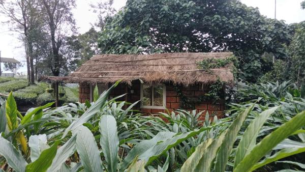 Vaga Cardamom Couple Stay Vagamon - Vagamon