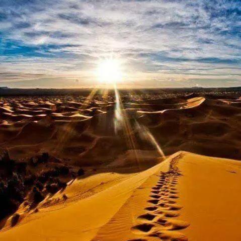 Obira Oasis Merzouga Camp - Merzouga