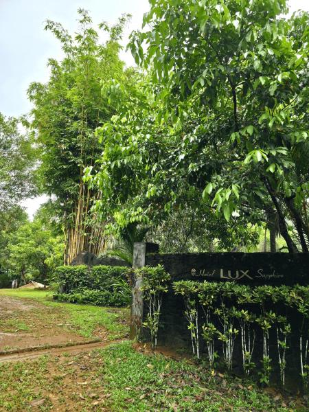 Lux Sapphire - Sri Lanka