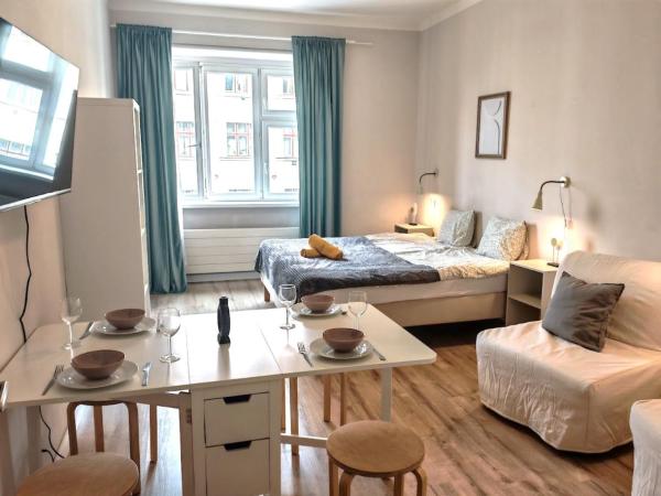 Flat In Zizkov -303- - Praga