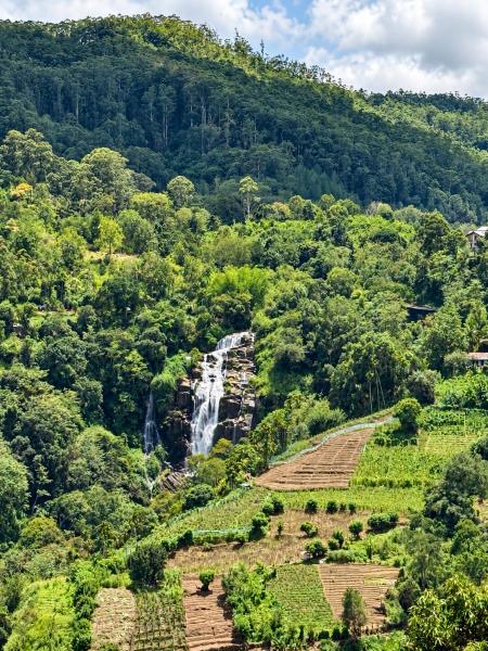 New Ella Nature View - Sri Lanka