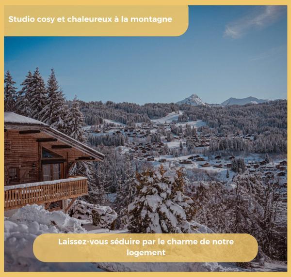 Appartement I Sublime I Les Gets - Morzine