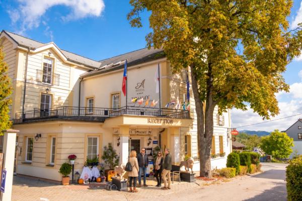 Hotel Tommy Wellness & Spa - Kudowa-Zdrój