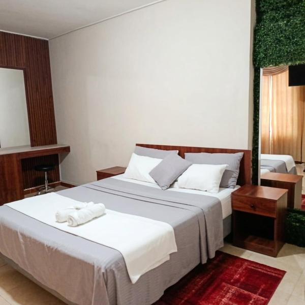 Céntrica Suite Ejecutiva Con Cama Queen Y Garaje - Machala
