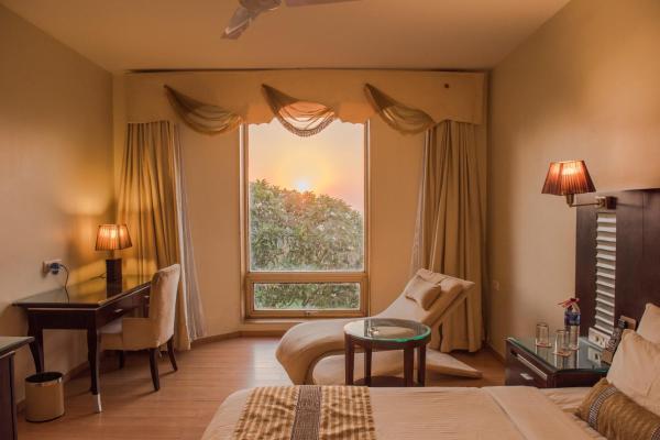 The Red Maple Mashal - Indore