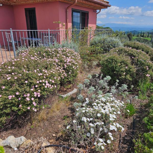 Casetta Rossa - Toscana
