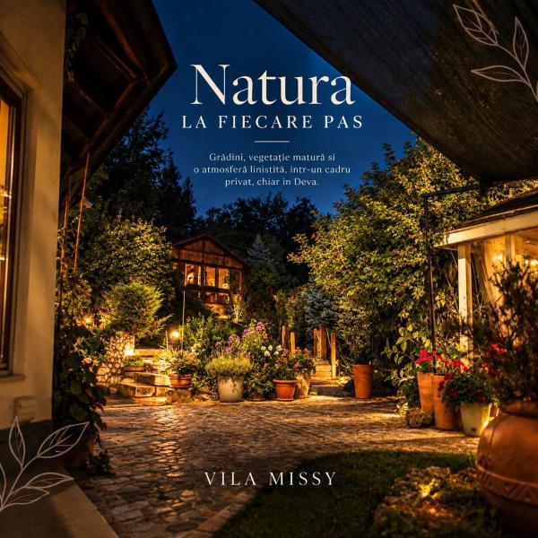 Vila Missy - Deva