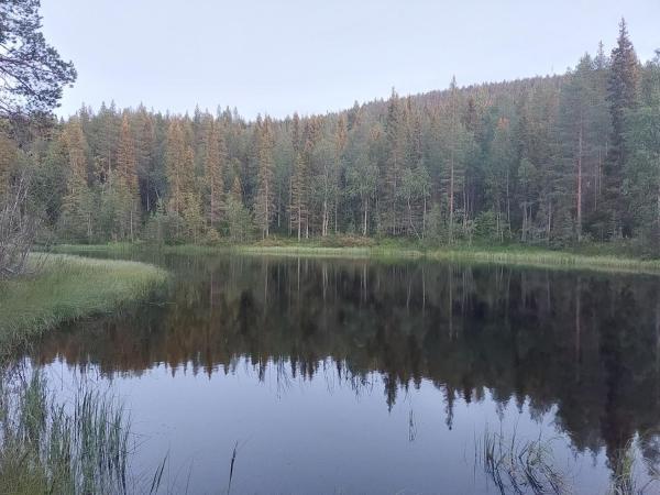 Villa Auroran Ranta - Lapland