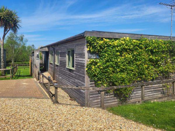 Bluebell Lodge - Devon