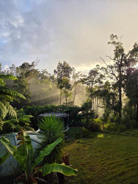 'A Home Amongst The Gum Trees' - Tamborine Mountain