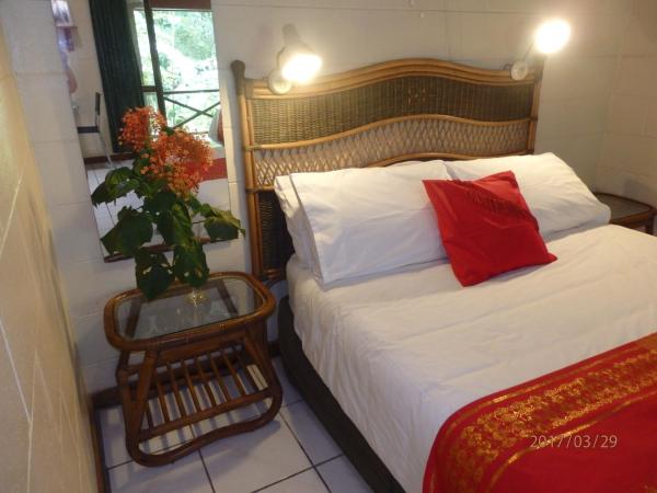 Daintree Deep Forest Lodge - Daintree