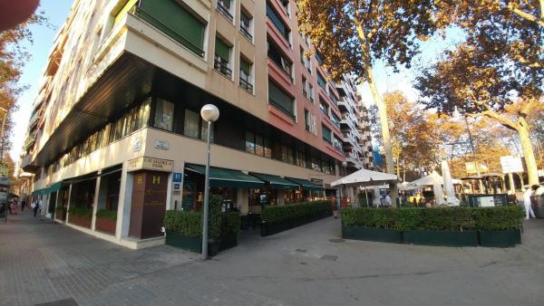 La Ciudadela - El Masnou