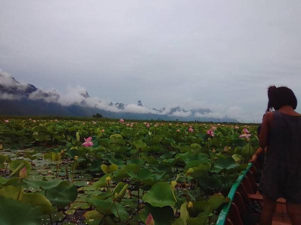 Lungcha Homestay - Prachuap Khiri Khan