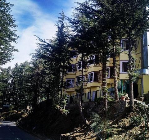 The Woodstock Resort - Himachal Pradesh