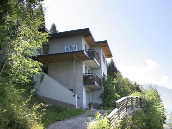 Quiet Situated Appartment - Kaltenbach