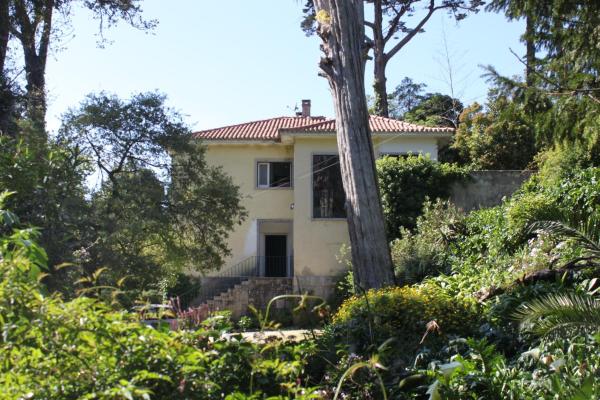 Casa Do Lado - Tourism With Character - Sintra