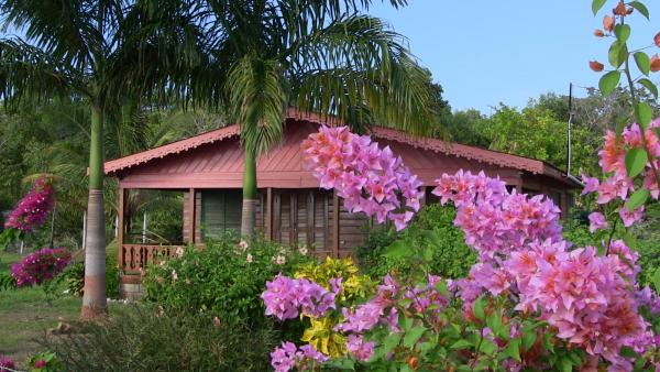 Little Bay Beach House - Jamaica