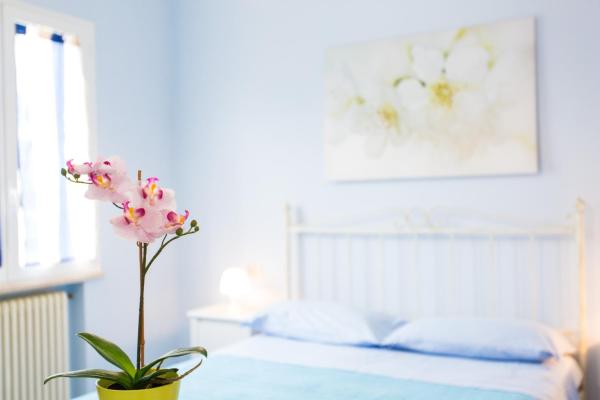 Residence Kimba - Riccione