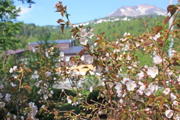 Higashikawa Asahidake Onsen Hotel Bear Monte - 北海道