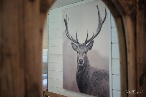 Chalet Le Grand Cerf - Nationalpark Eifel