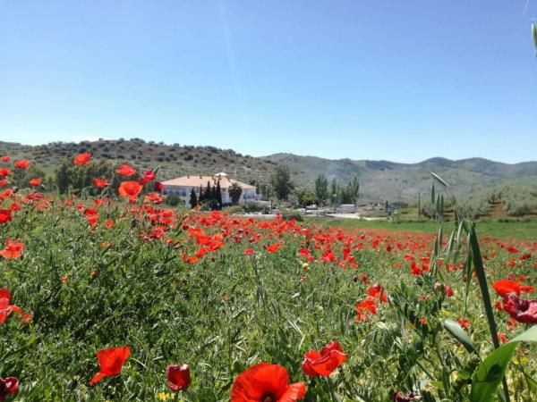 Hotel Arco Del Sol - Comares