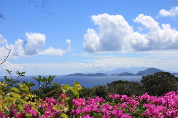 Gites Kas'a Flo - Guadeloupe