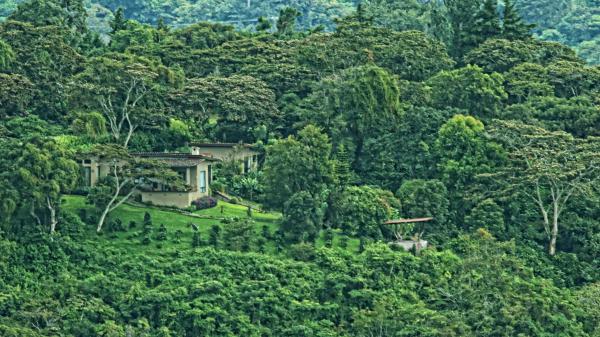 The Guest Suites At Manana Madera - 巴拿馬