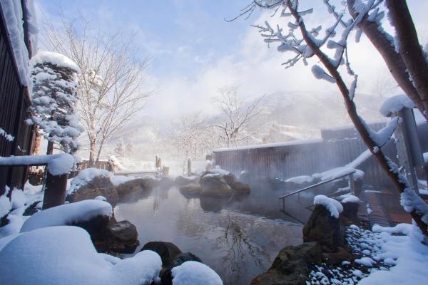 Miyama Ouan Kyoritsu Resort - Matsumoto