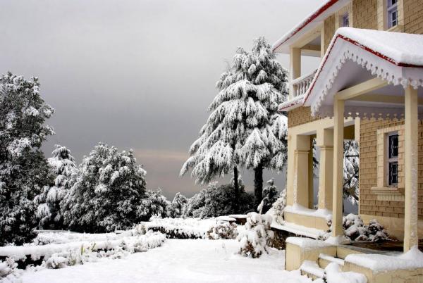 Tree Of Life Grand Oak Manor Binsar - Uttarakhand