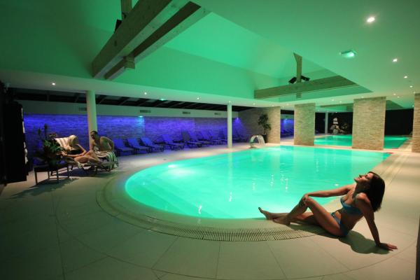 Hotel Au Nid De Cigognes - Sainte-Marie-aux-Mines