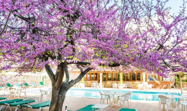 Hotel Gaya - Sant Elm