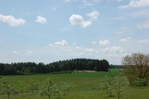 Ferienwohnung Brock - Baviera
