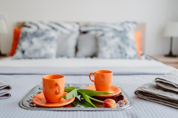 Garden Apartment - Cracovia
