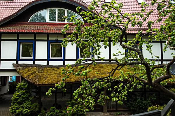 Hotel Jelita - Lithuania
