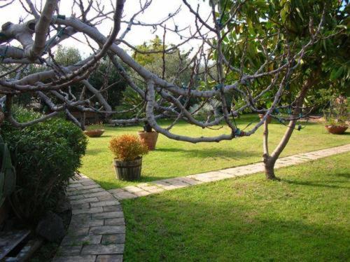 Villa Chiarenza Maison D'hotes - Naxos