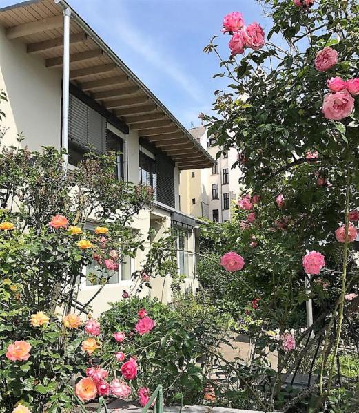 Stadtoase Koblenz - Koblenz