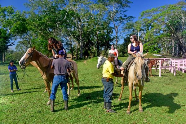 Banana Bank Lodge & Jungle Horseback Adventures - Belmopan