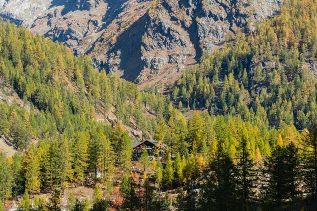 Carte MICHELIN Blatten - ViaMichelin