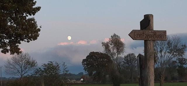 Carte MICHELIN Welkenraedt - ViaMichelin